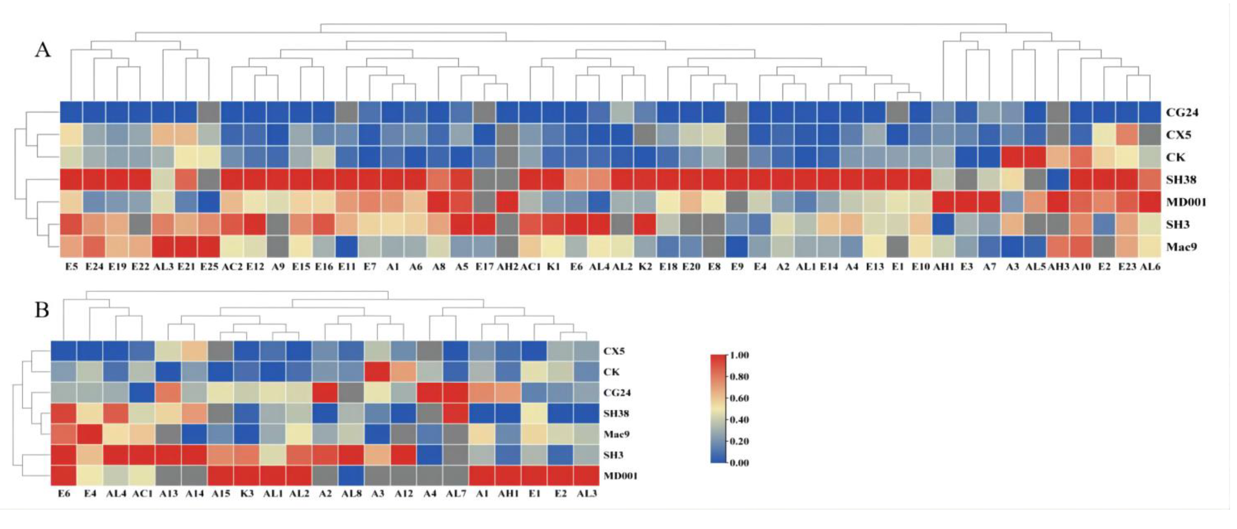 Agriculture Free Full Text Dwarf Interstocks Improve Aroma Quality