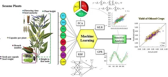 Agriculture | Free Full-Text | Towards the Modeling and Prediction of ...