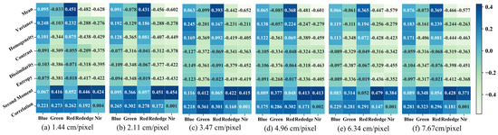 Using UAV Multispectral Remote Sensing with Appropriate Spatial ...
