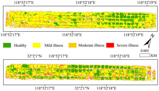 Using UAV Multispectral Remote Sensing with Appropriate Spatial ...