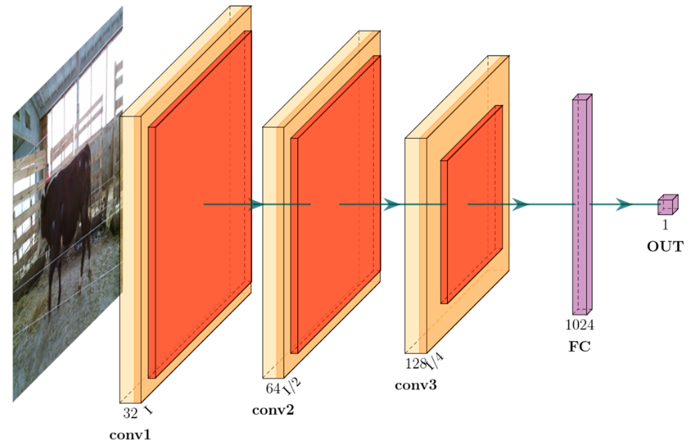 Agriculture | Free Full-Text | Live Weight Prediction of Cattle Based on Deep Regression of RGB ...