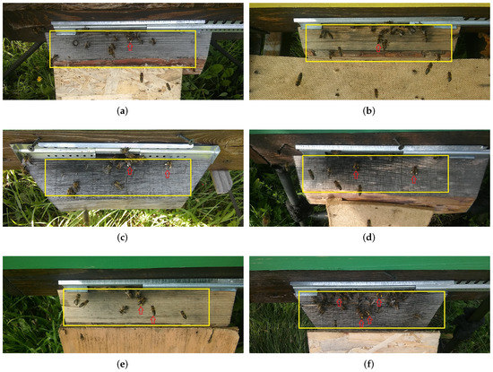 FPGA Implementation of a Convolutional Neural Network and Its Application for Pollen Detection ...