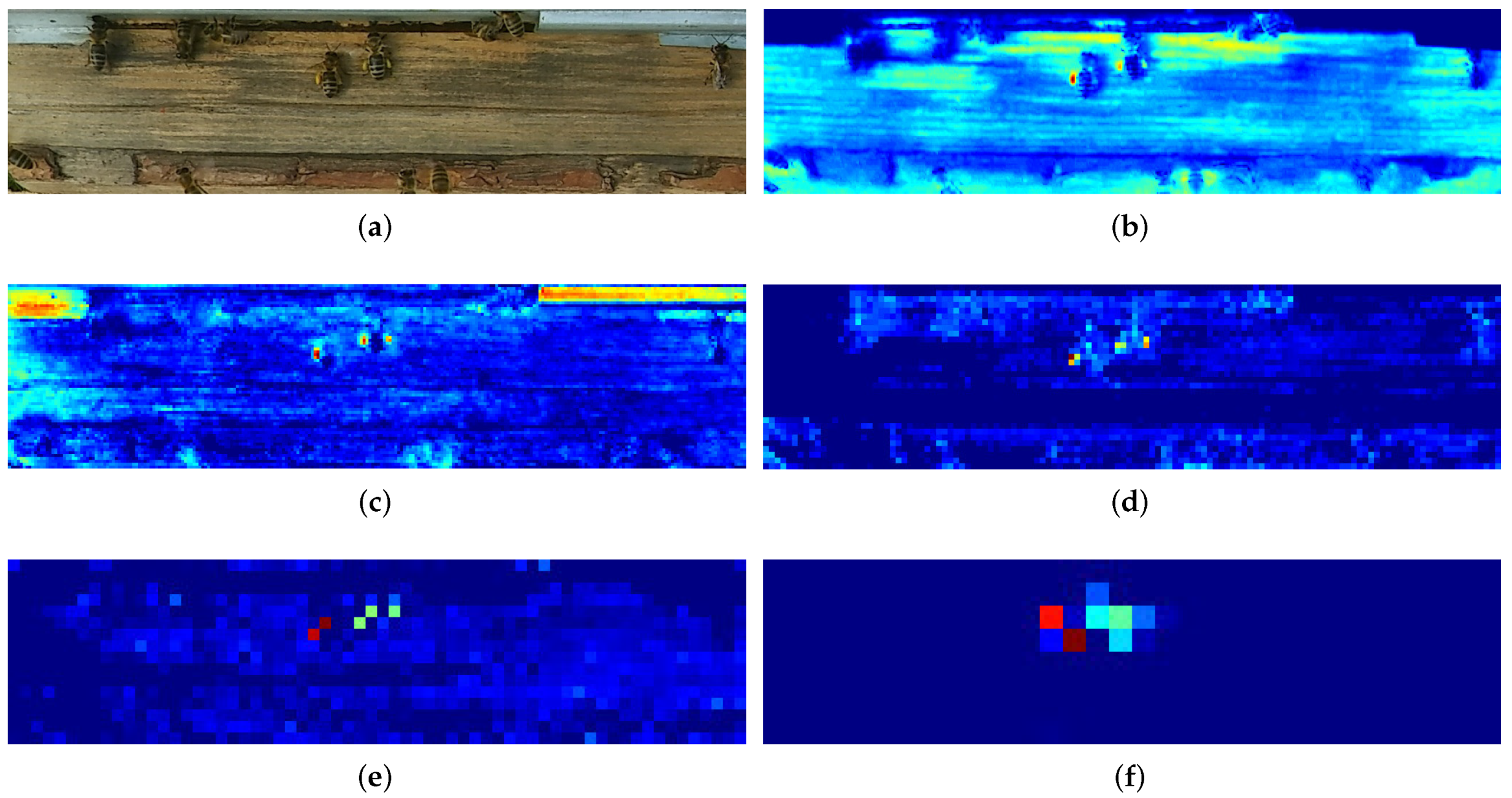 Fpga Implementation Of A Convolutional Neural Network And Its Application For Pollen Detection 8752