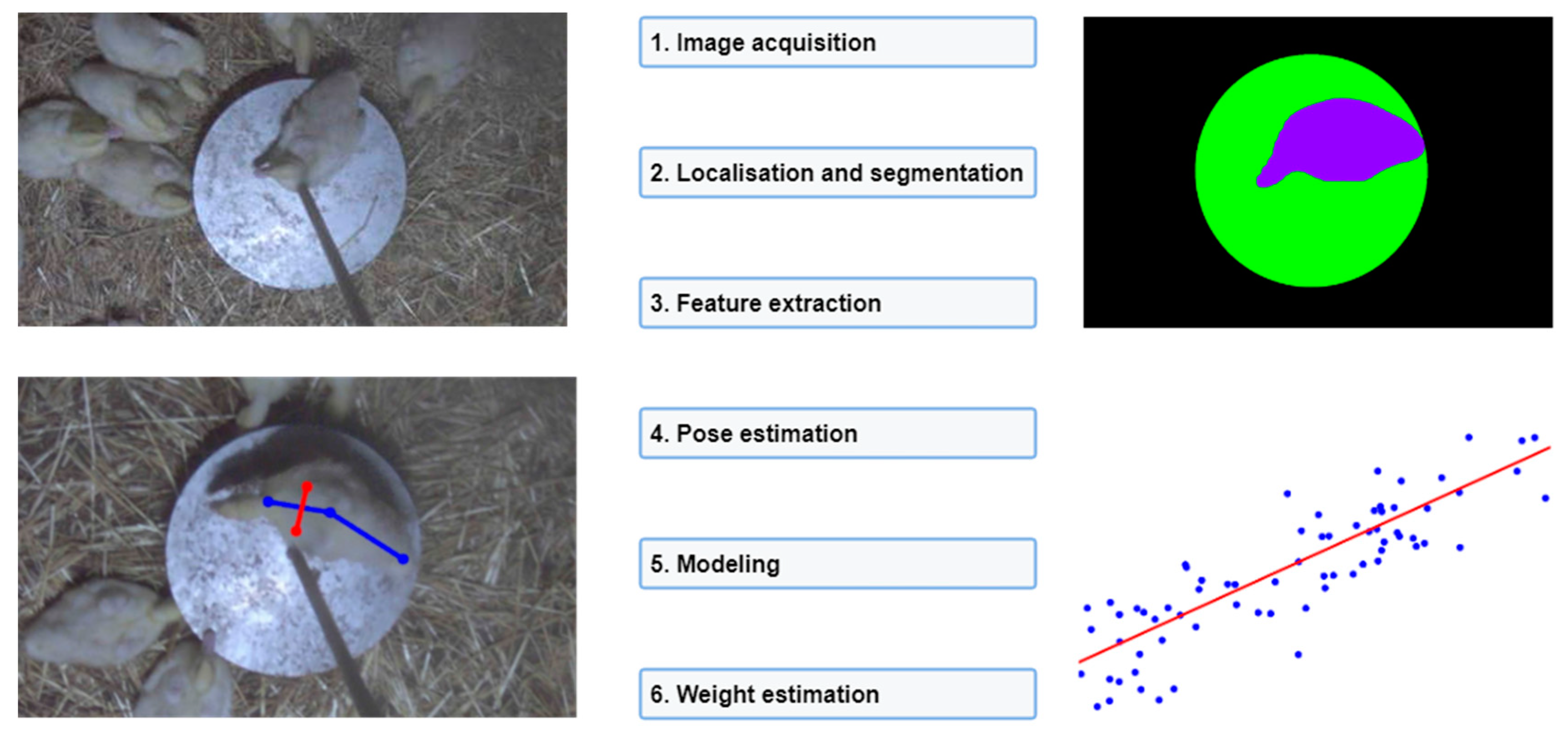 Agriculture | Free Full-Text | Practical Aspects of Weight Measurement Using Image Processing ...
