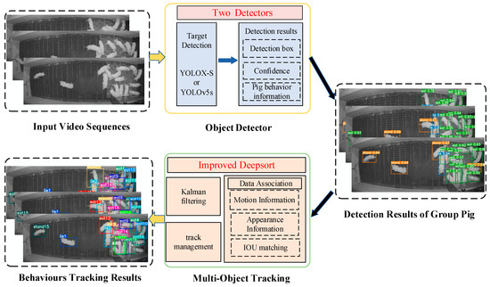 Agriculture | Free Full-Text | Automated Behavior Recognition and Tracking of Group-Housed Pigs ...