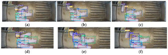 Agriculture | Free Full-Text | Automated Behavior Recognition and Tracking of Group-Housed Pigs ...