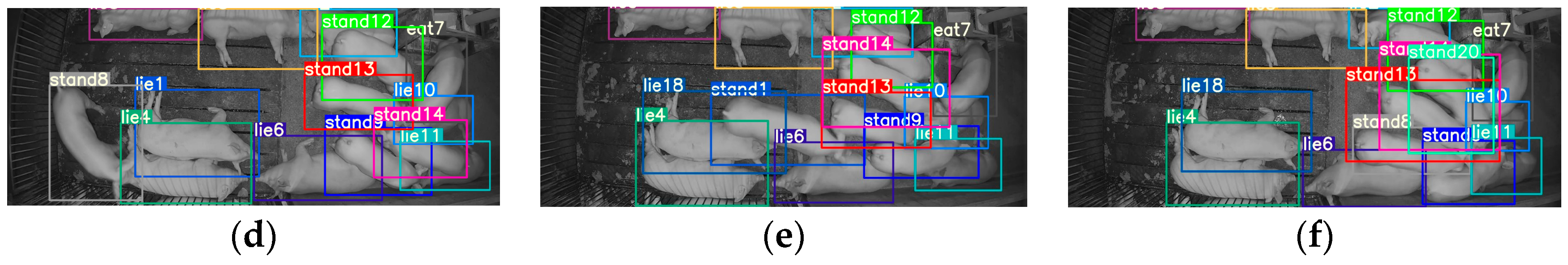 Agriculture | Free Full-Text | Automated Behavior Recognition and Tracking of Group-Housed Pigs ...