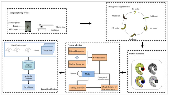 Improved Random Forest for the Automatic Identification of Spodoptera ...