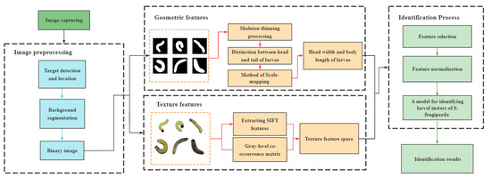 Improved Random Forest for the Automatic Identification of Spodoptera ...