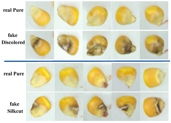 Lightweight Corn Seed Disease Identification Method Based on Improved ...