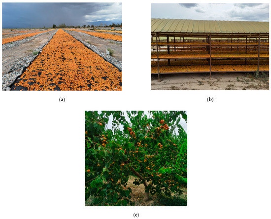 Experimental Characterization and Mathematical Modelling of Natural ...