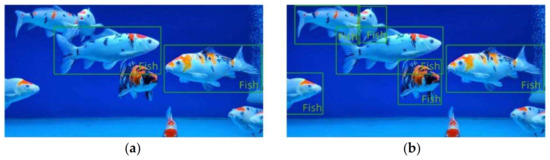 LIFRNet: A Novel Lightweight Individual Fish Recognition Method Based ...