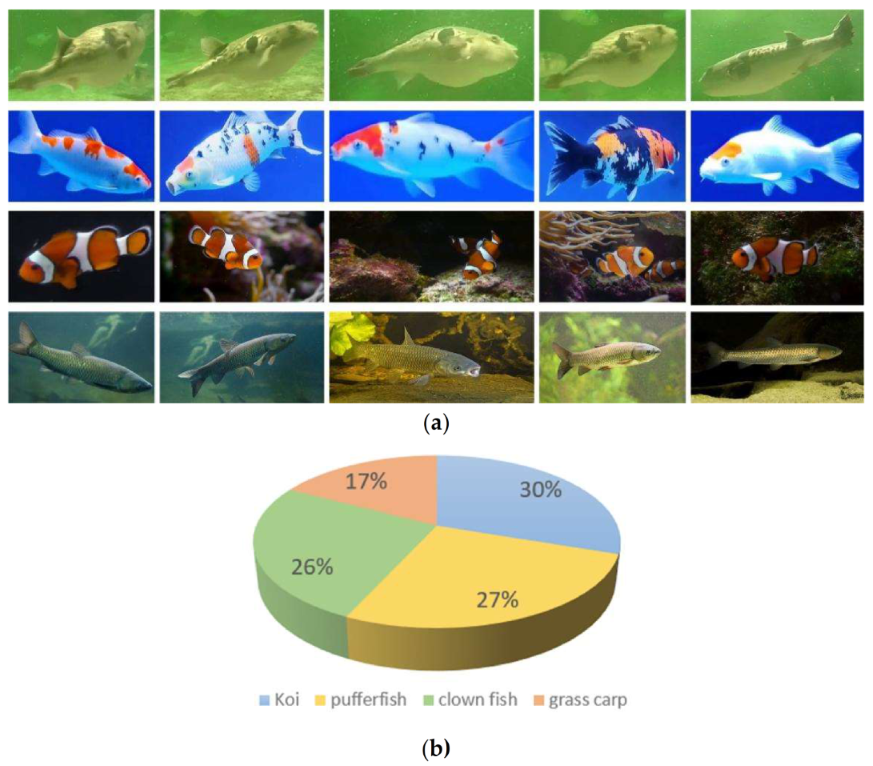 LIFRNet: A Novel Lightweight Individual Fish Recognition Method Based ...