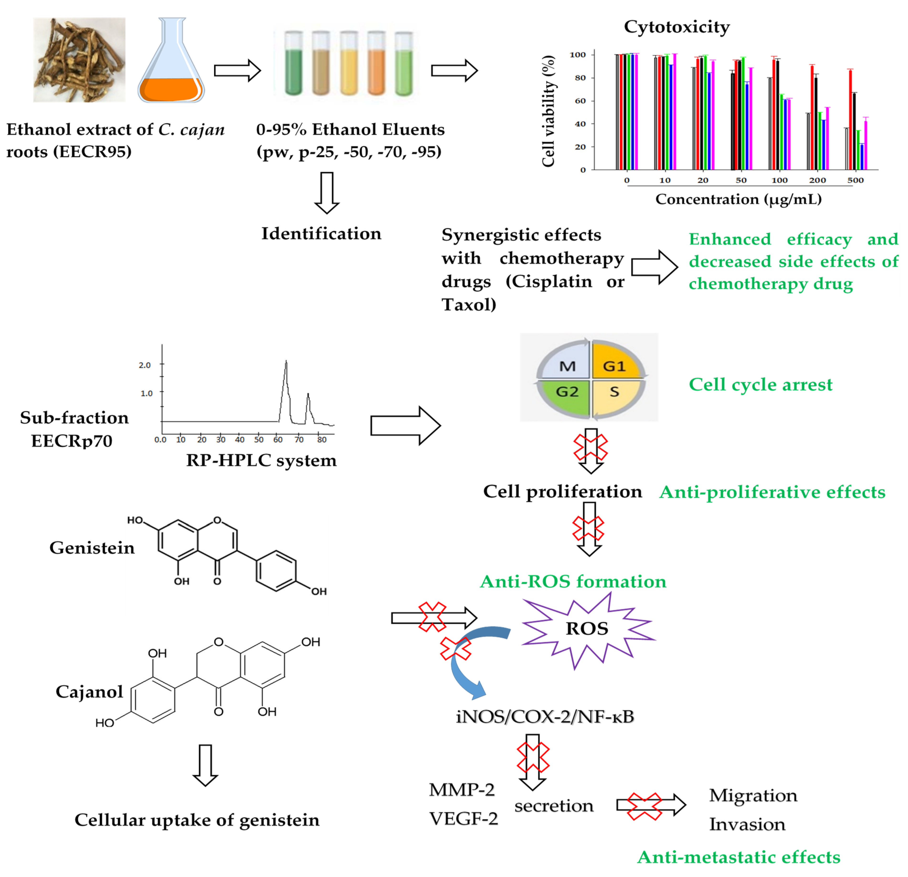 Anti-Proliferative and Anti-Metastatic Effects of Ethanol Extract from ...