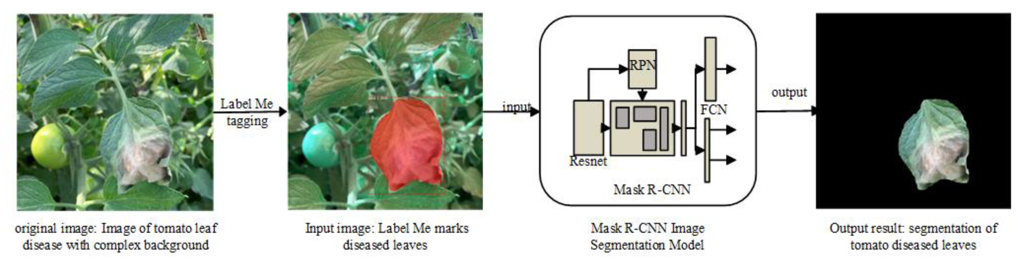 Tomato Disease Classification and Identification Method Based on ...