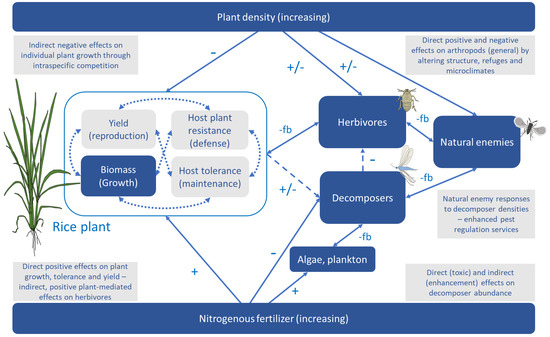 Direct and Indirect Effects of Planting Density, Nitrogenous Fertilizer ...