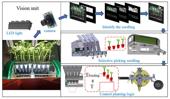 Vision-Based a Seedling Selective Planting Control System for Vegetable ...