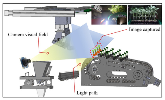 Vision-Based a Seedling Selective Planting Control System for Vegetable ...
