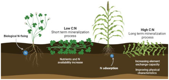 Cover Crops for Sustainable Cropping Systems: A Review