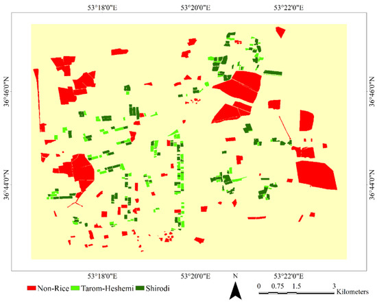 A Convolutional Neural Network Method for Rice Mapping Using Time-Series of Sentinel-1 and ...