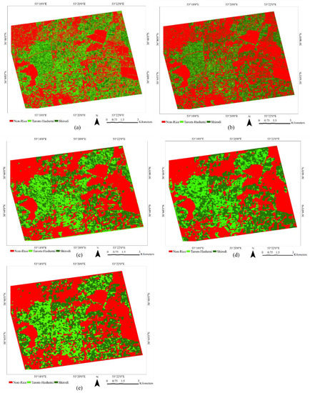 Agriculture Free Full Text A Convolutional Neural Network Method For Rice Mapping Using Time