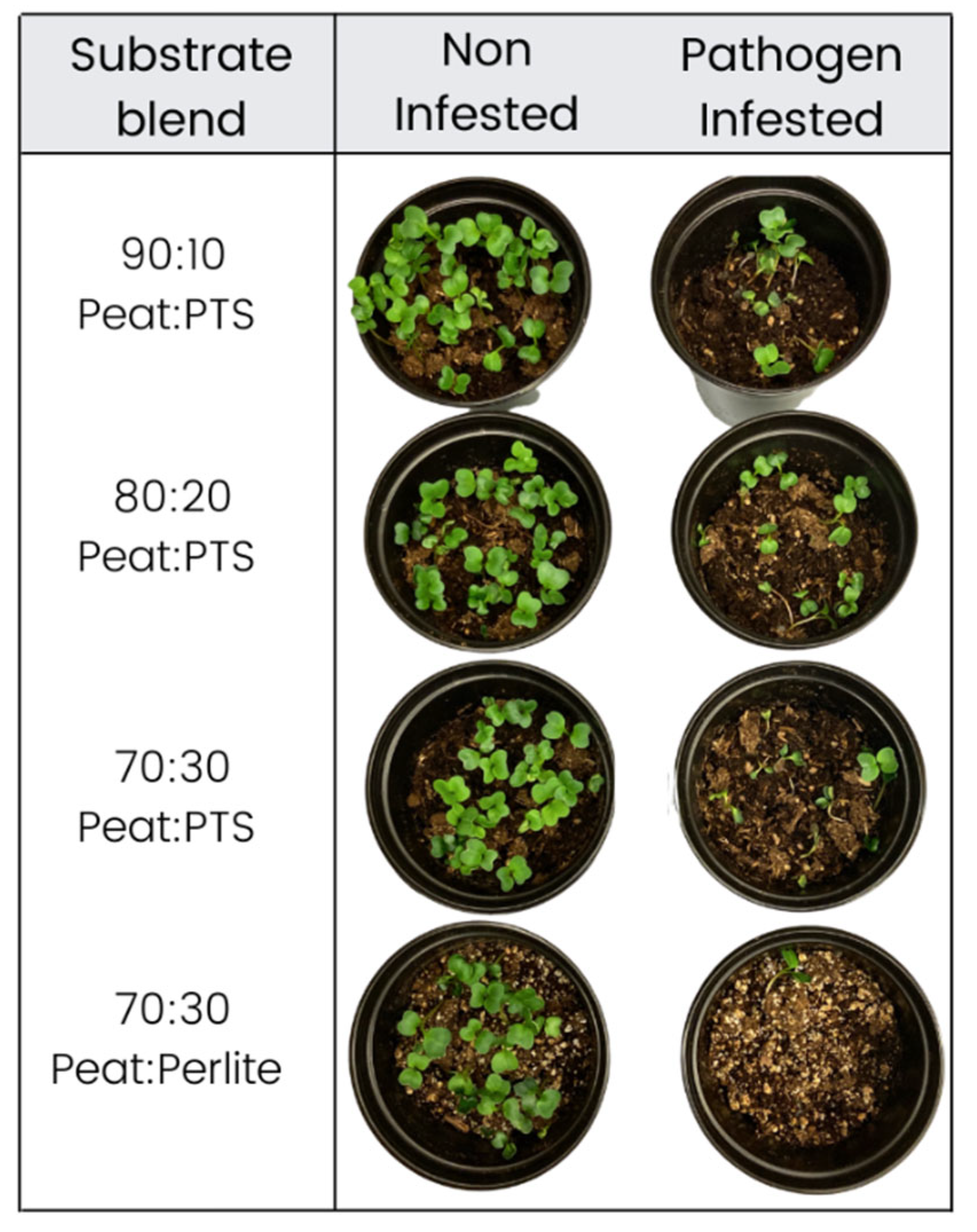 The Effect of Peat Moss Amended with Three Engineered Wood Substrate ...