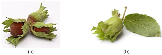 Research and Experiments of Hazelnut Harvesting Machine Based on CFD ...