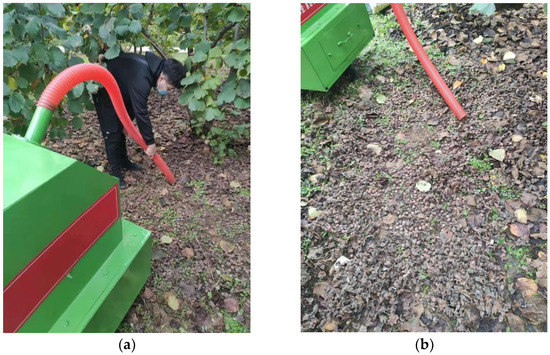 Research and Experiments of Hazelnut Harvesting Machine Based on CFD ...