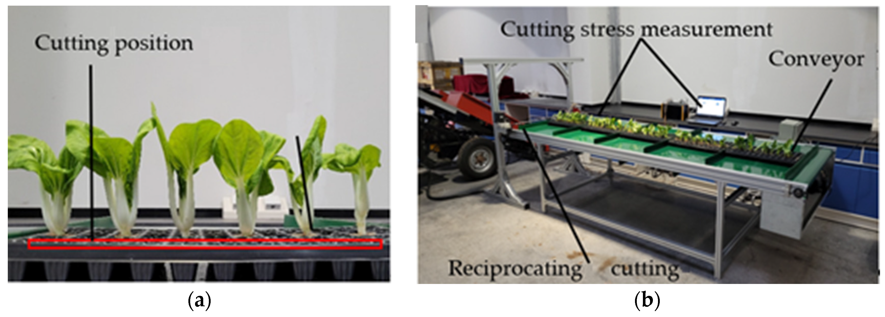 Parameter Optimization of Reciprocating Cutter for Chinese Little ...