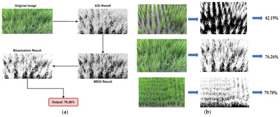 Agriculture | Free Full-Text | Rice Growth Stage Classification via RF ...