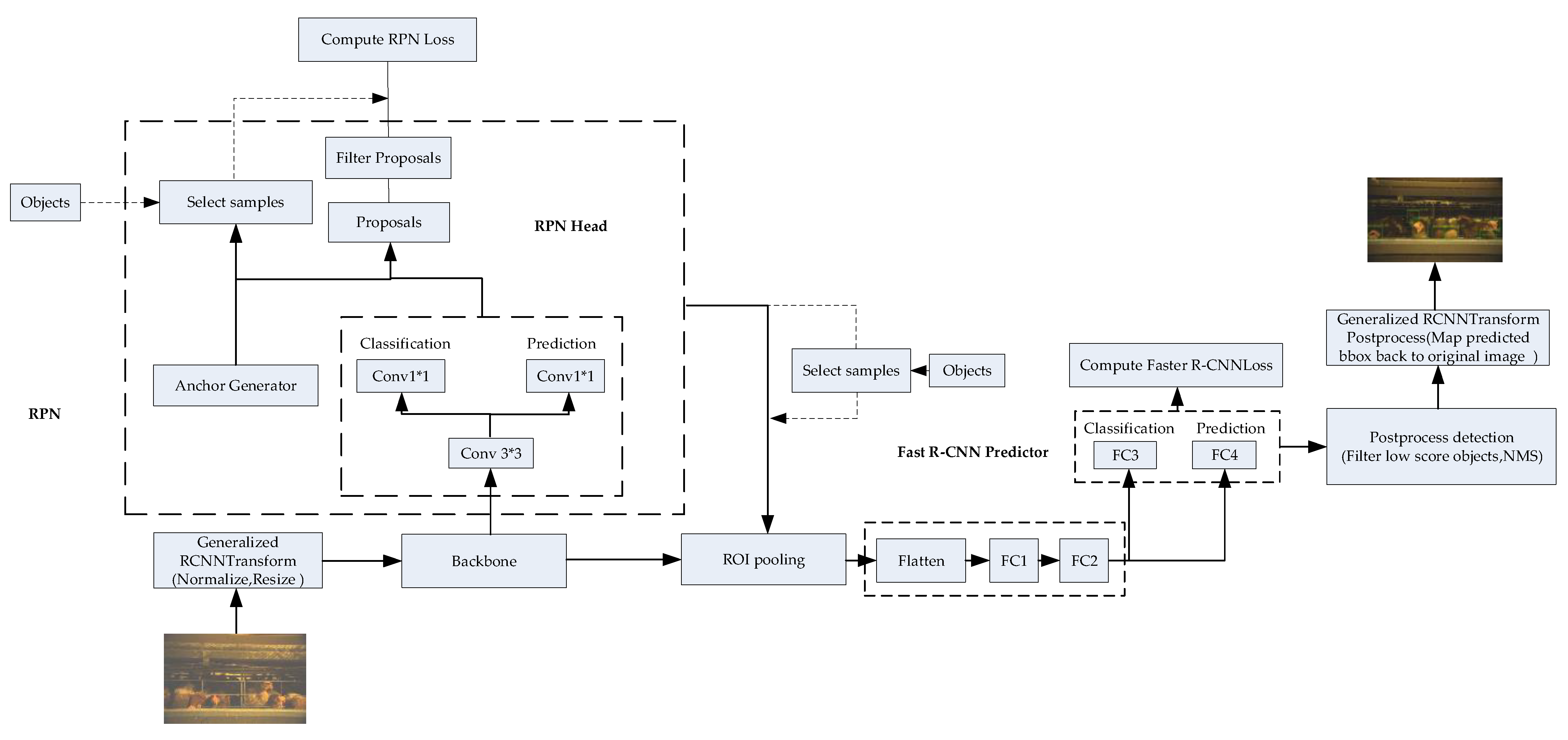 Research on Laying Hens Feeding Behavior Detection and Model Visualization Based on ...