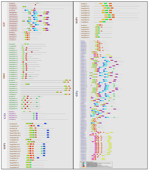 Genome-Wide Identification and Characterization of Trihelix Gene Family ...