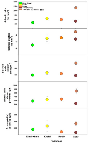 Anatomical Assessment of Skin Separation in Date Palm (Phoenix ...