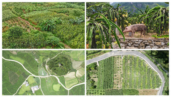 Agriculture | Free Full-Text | Revelation of Coupled Ecosystem Quality ...