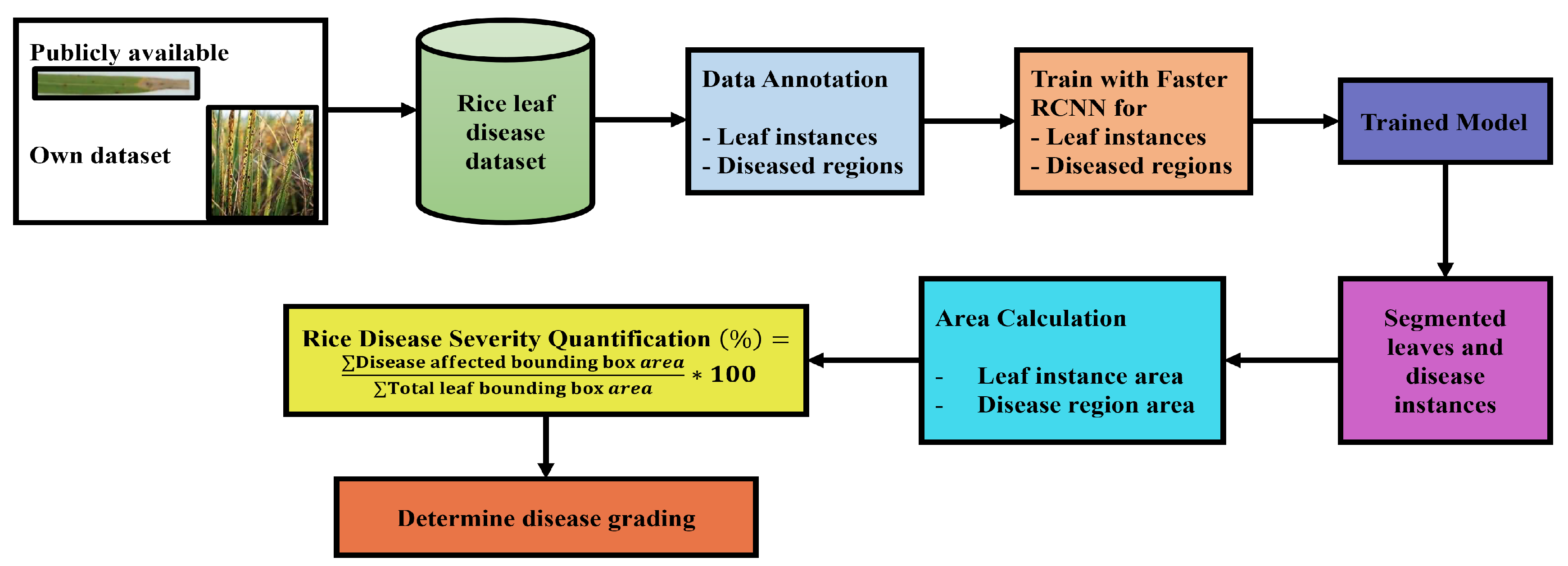 An Artificial-Intelligence-Based Novel Rice Grade Model for Severity Estimation of Rice Diseases