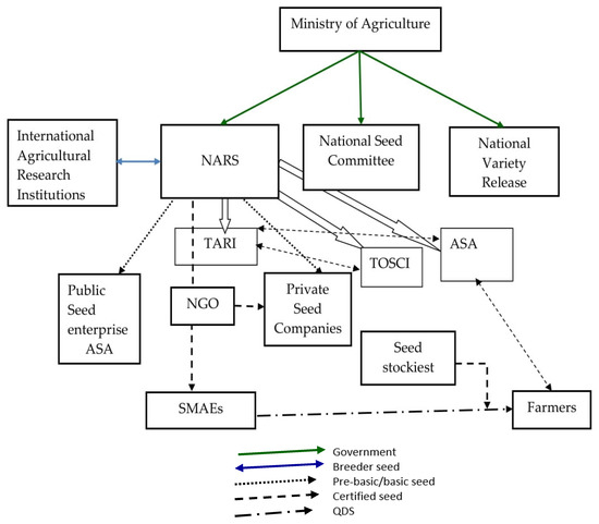 Upscaling Groundnut Seed Production and Delivery through Long-Term ...
