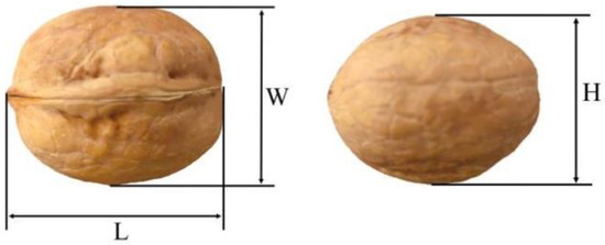 Determination Method of Core Parameters for the Mechanical ...