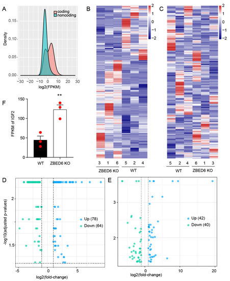 Comprehensive Analysis of lncRNA and mRNA Reveals the Effect of ZBED6 ...