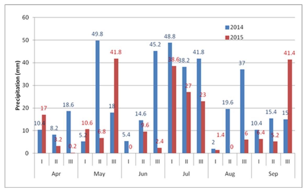 Sowing Date and Fertilization Level Are Effective Elements Increasing ...