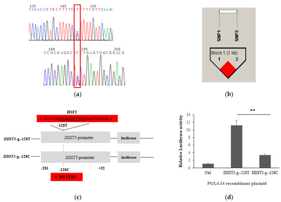 DDIT3 Governs Milk Production Traits by Targeting IL-6 to Induce ...