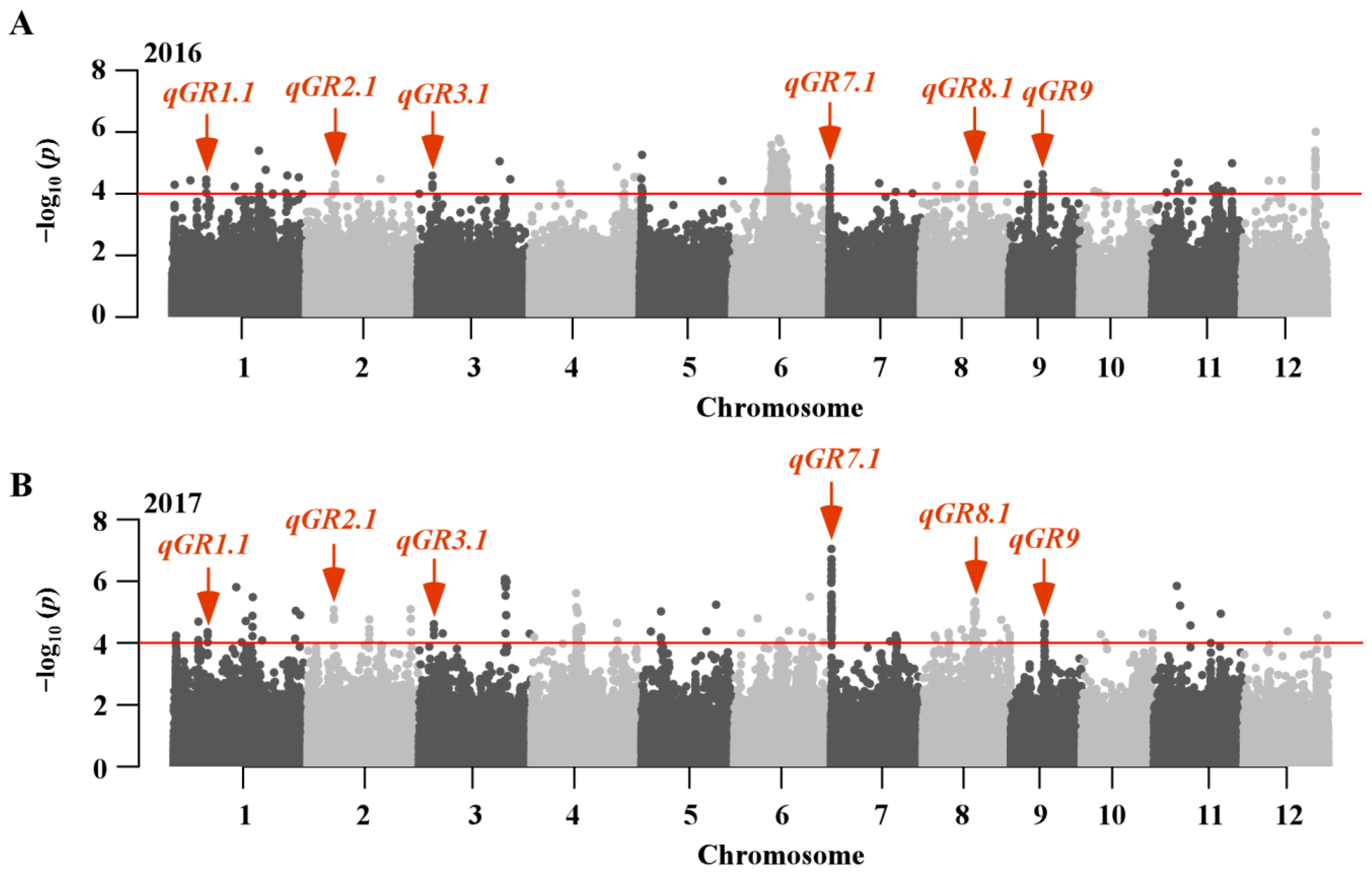 Genome-Wide Association Study Reveals the Genetic Basis of Seed ...