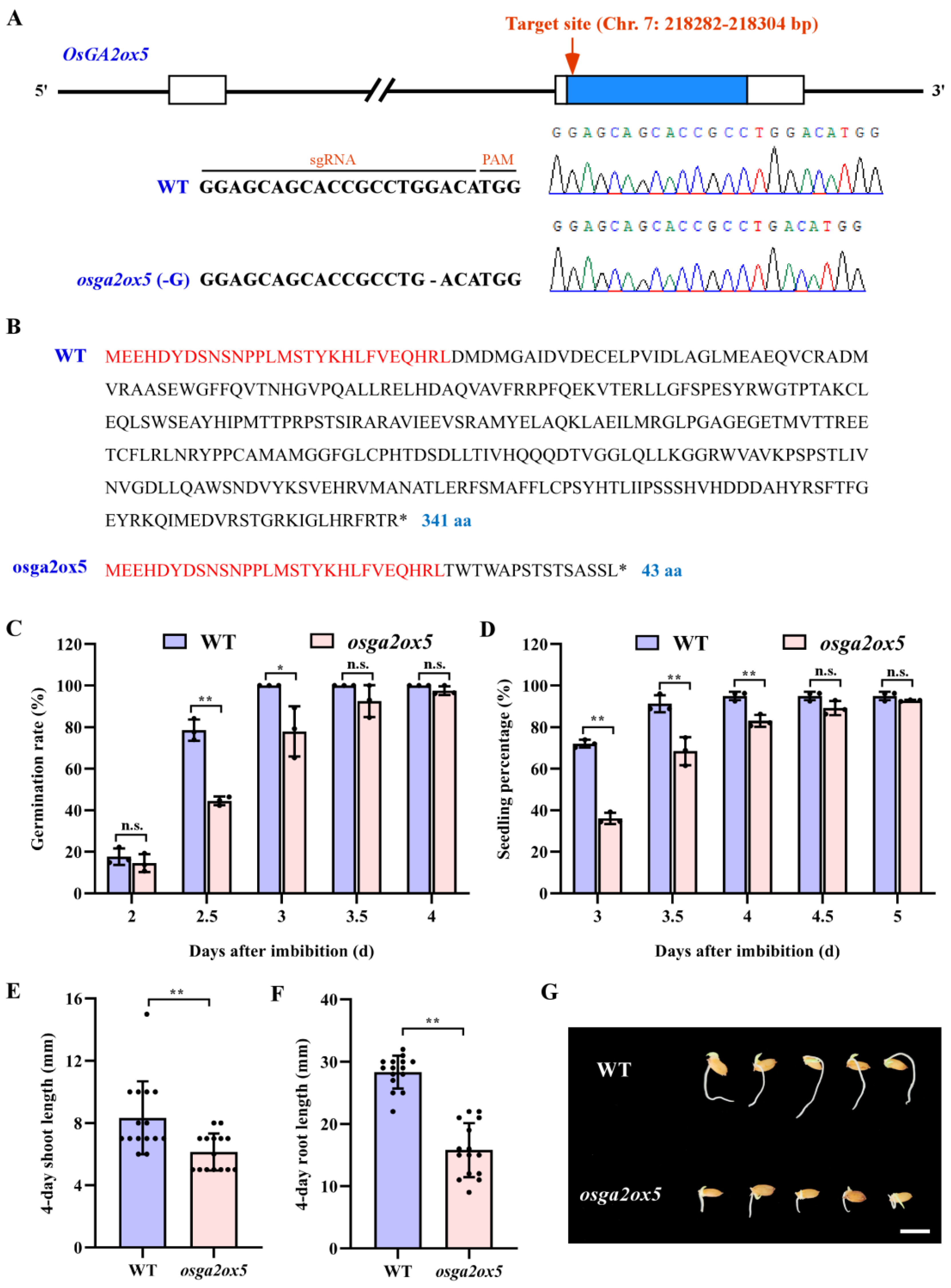 Genome-Wide Association Study Reveals the Genetic Basis of Seed ...
