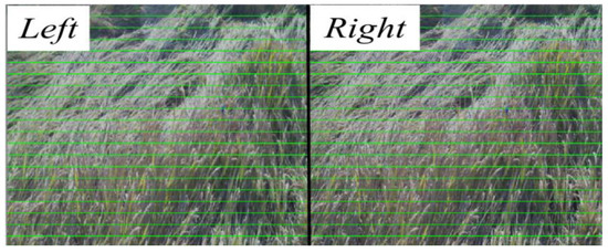 Agriculture | Free Full-Text | Detection of Wheat Lodging by Binocular Cameras during Harvesting ...