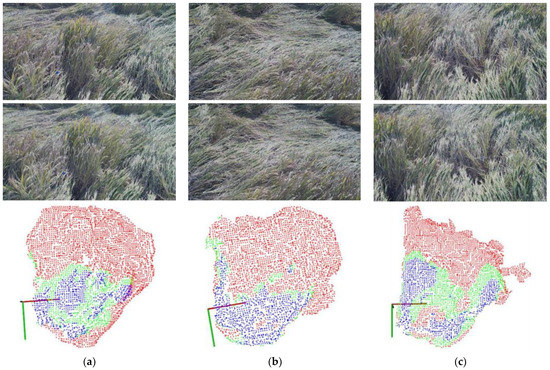 Detection of Wheat Lodging by Binocular Cameras during Harvesting Operation