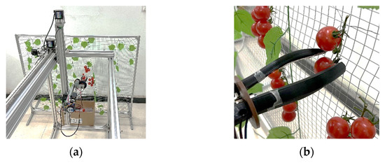 Research on Flexible End-Effectors with Humanoid Grasp Function for ...