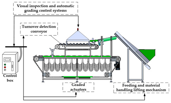 Agriculture | Free Full-Text | Apple Grading Method Design and Implementation for Automatic ...