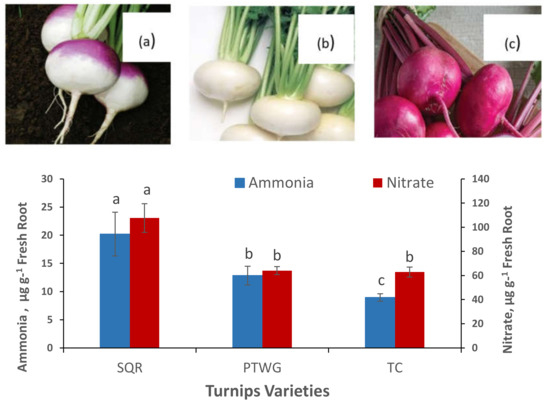 Influence of Biochar and Animal Manures Application on Ammonia and ...