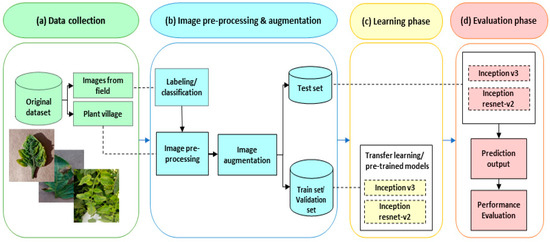 Smart Detection of Tomato Leaf Diseases Using Transfer Learning-Based ...