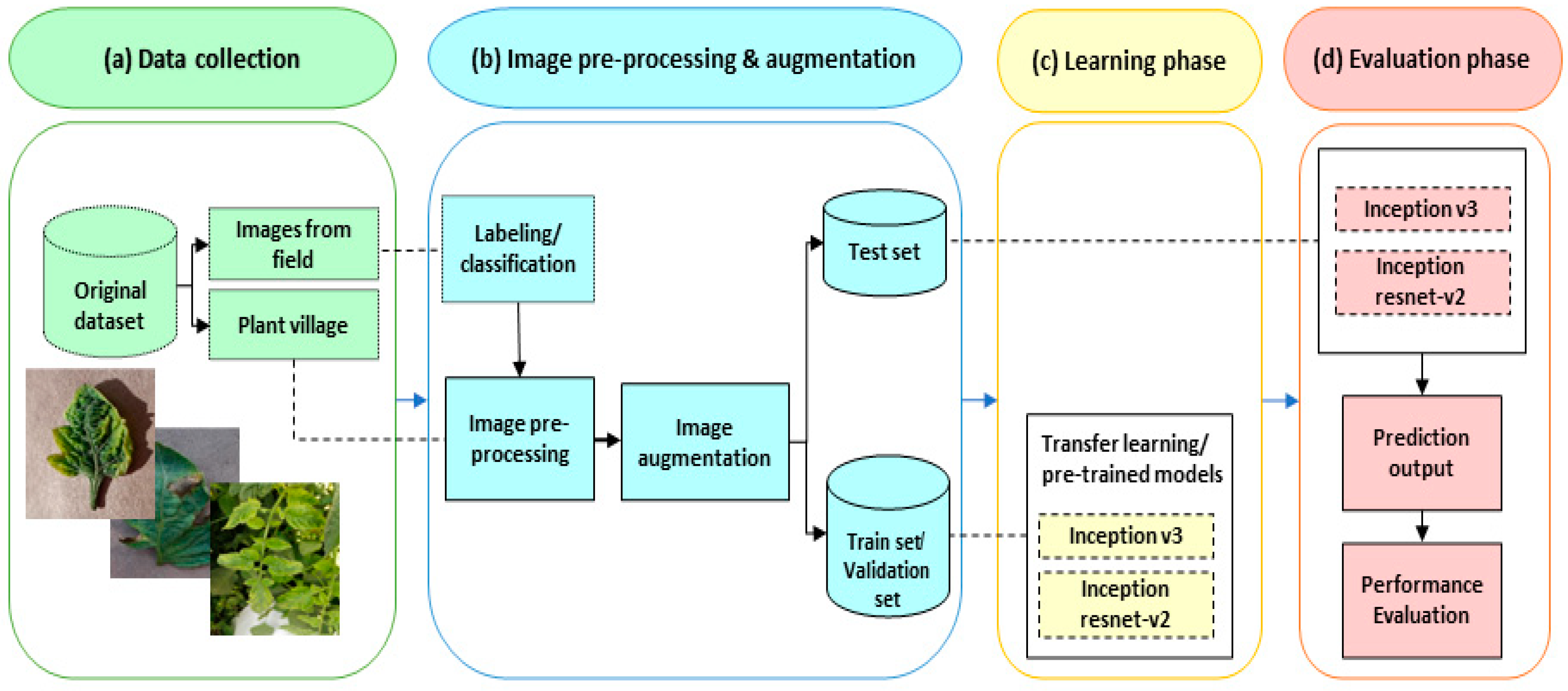 Agriculture Free Full Text Smart Detection Of Tomato Leaf Diseases