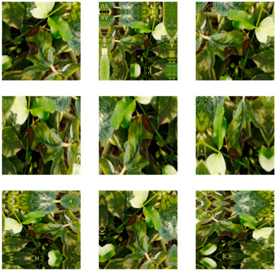 Smart Detection Of Tomato Leaf Diseases Using Transfer Learning Based Convolutional Neural Networks